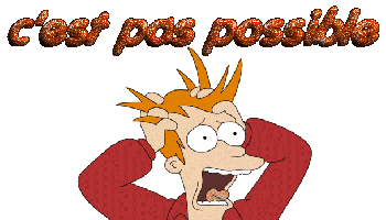 non-mais_cest-pas-possible – Laziqacaz